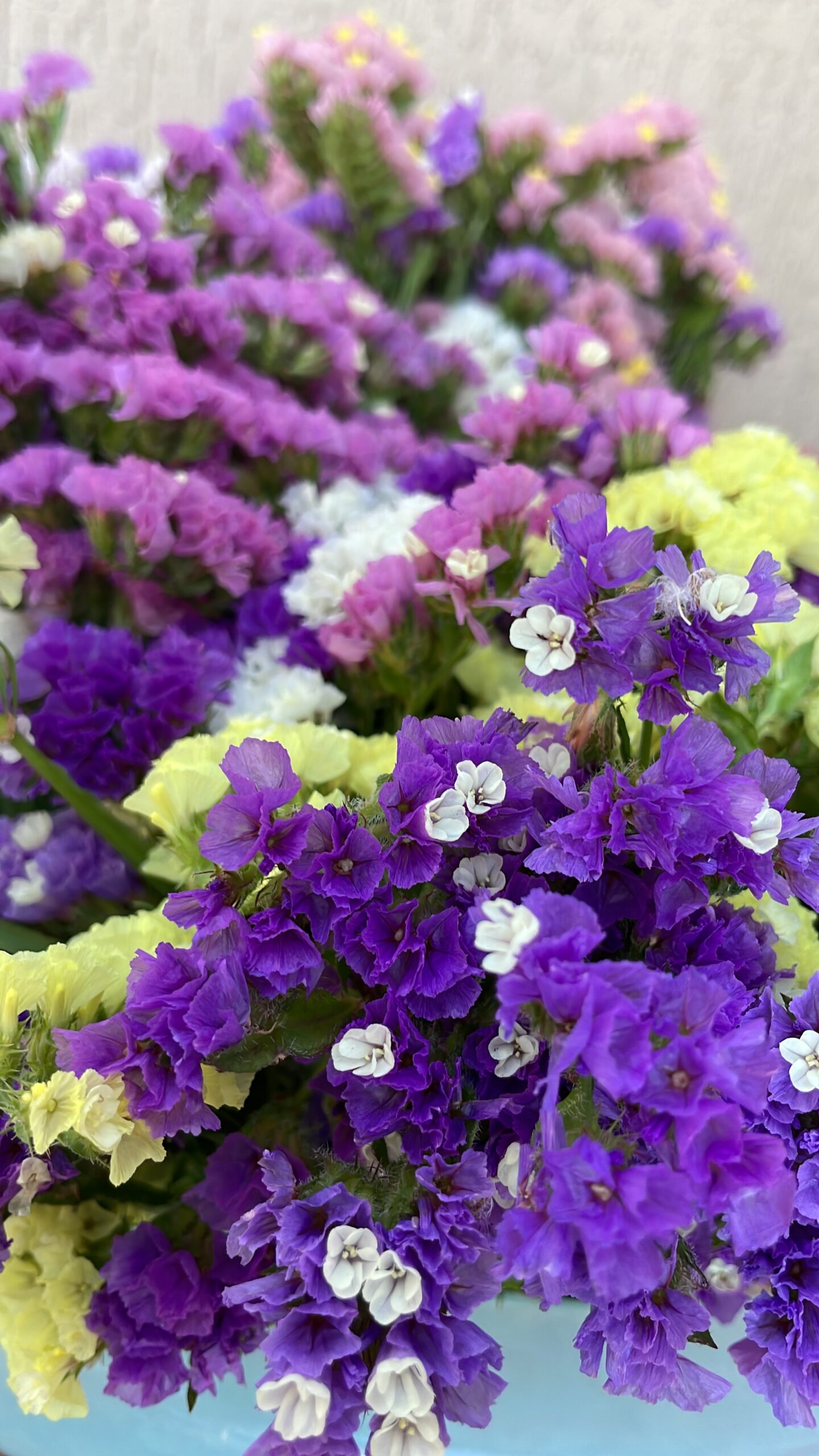 Flor Statice (buquê -desidratada) – Mundo Bem Orgânico